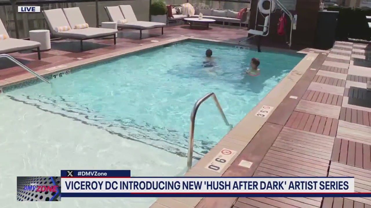 Viceroy DC introduces new 'Hush After Dark' artist series | FOX 5 DC