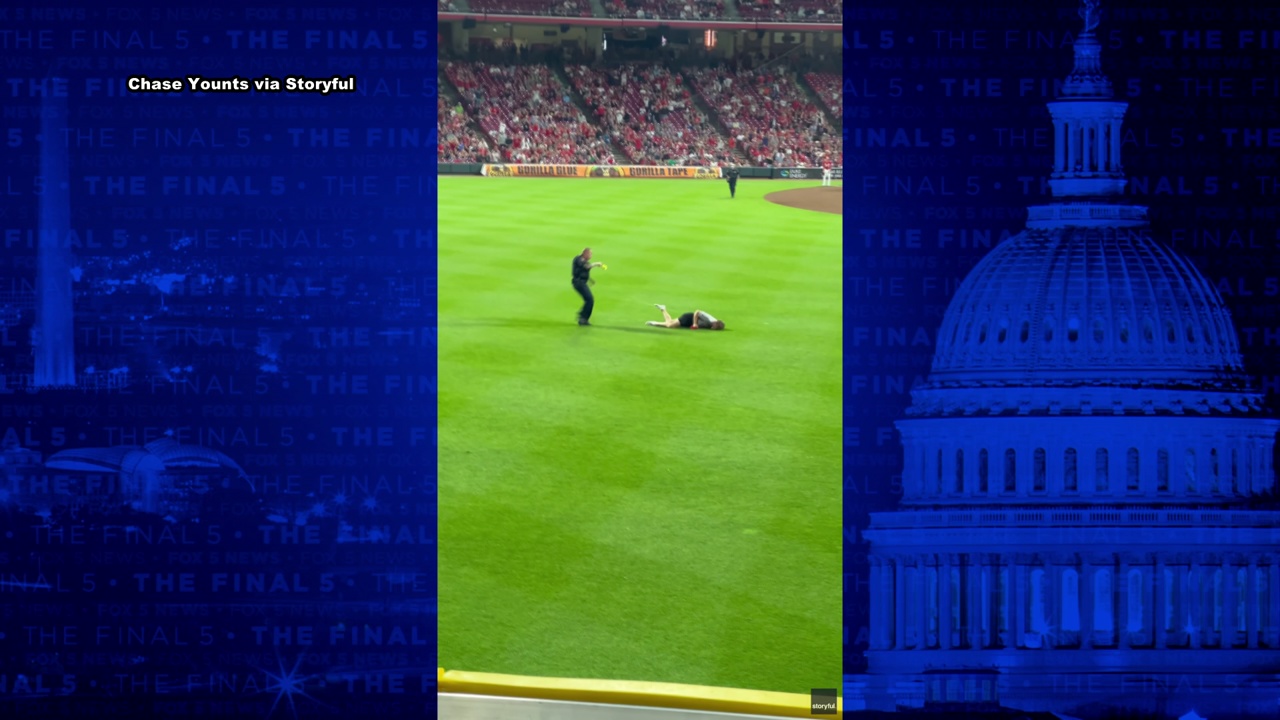 Reds fan tased and arrested after running onto field and doing backflip ...