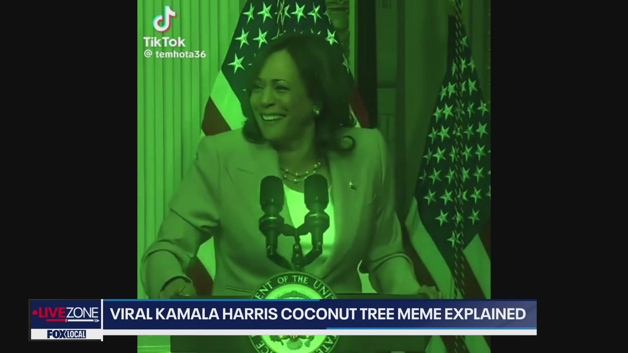 Kamala Harris and the coconut tree meme explained | FOX 5 DC