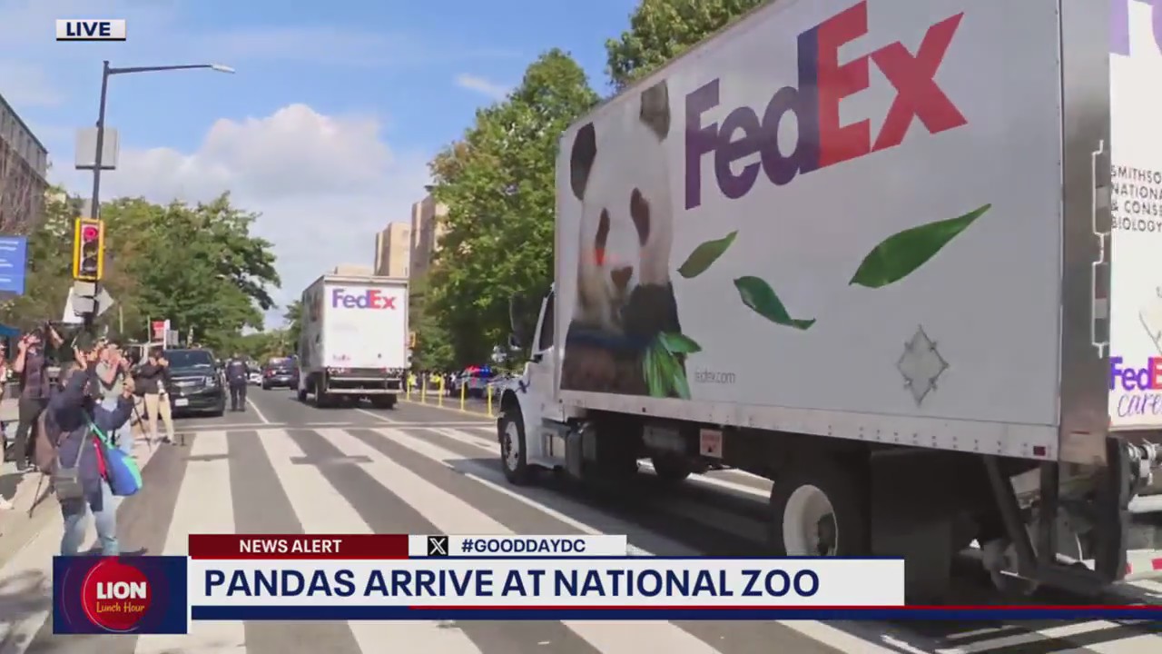 DC?s new giant pandas arrive at new home at National Zoo | FOX 5 DC