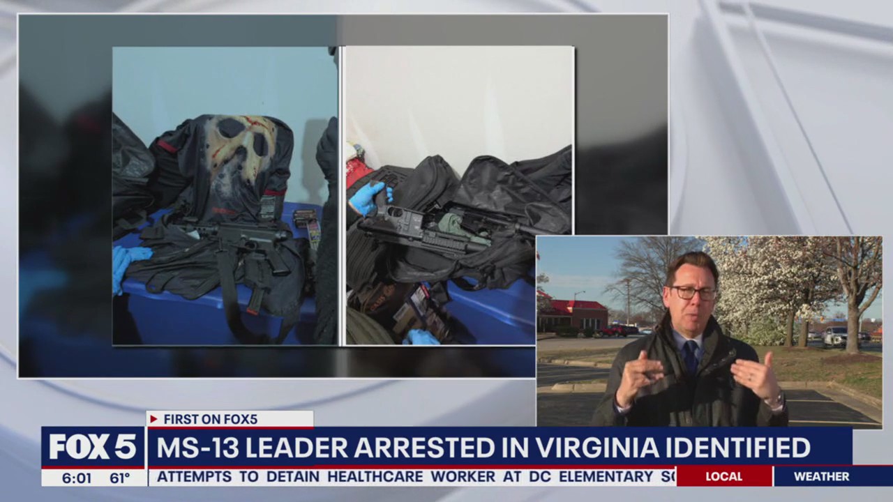 Authorities identify top MS-13 gang leader arrested in Virginia | FOX 5 DC