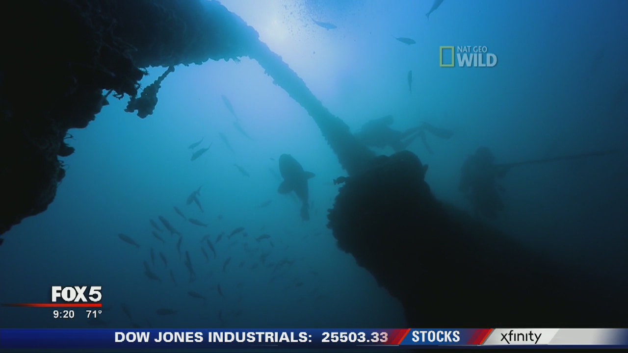 "Monster Fish" comes to Atlanta's Fernbank | FOX 5 Atlanta