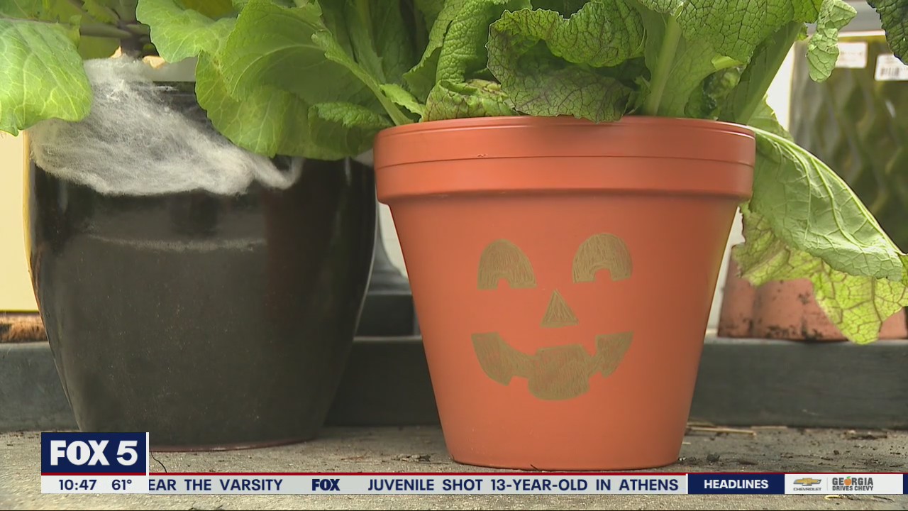 How to make your doorways naturally spooky for Halloween | FOX 5 Atlanta