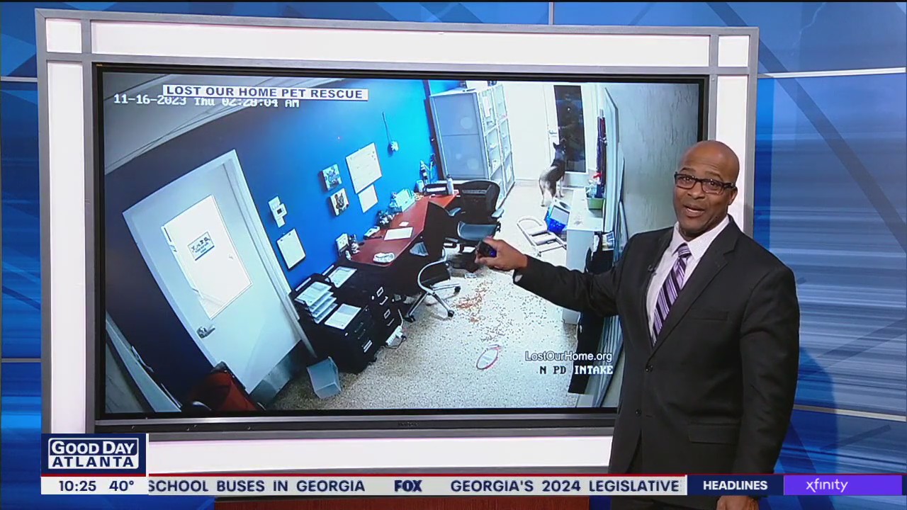 Dog breaks out of Arizona kennel | FOX 5 Atlanta