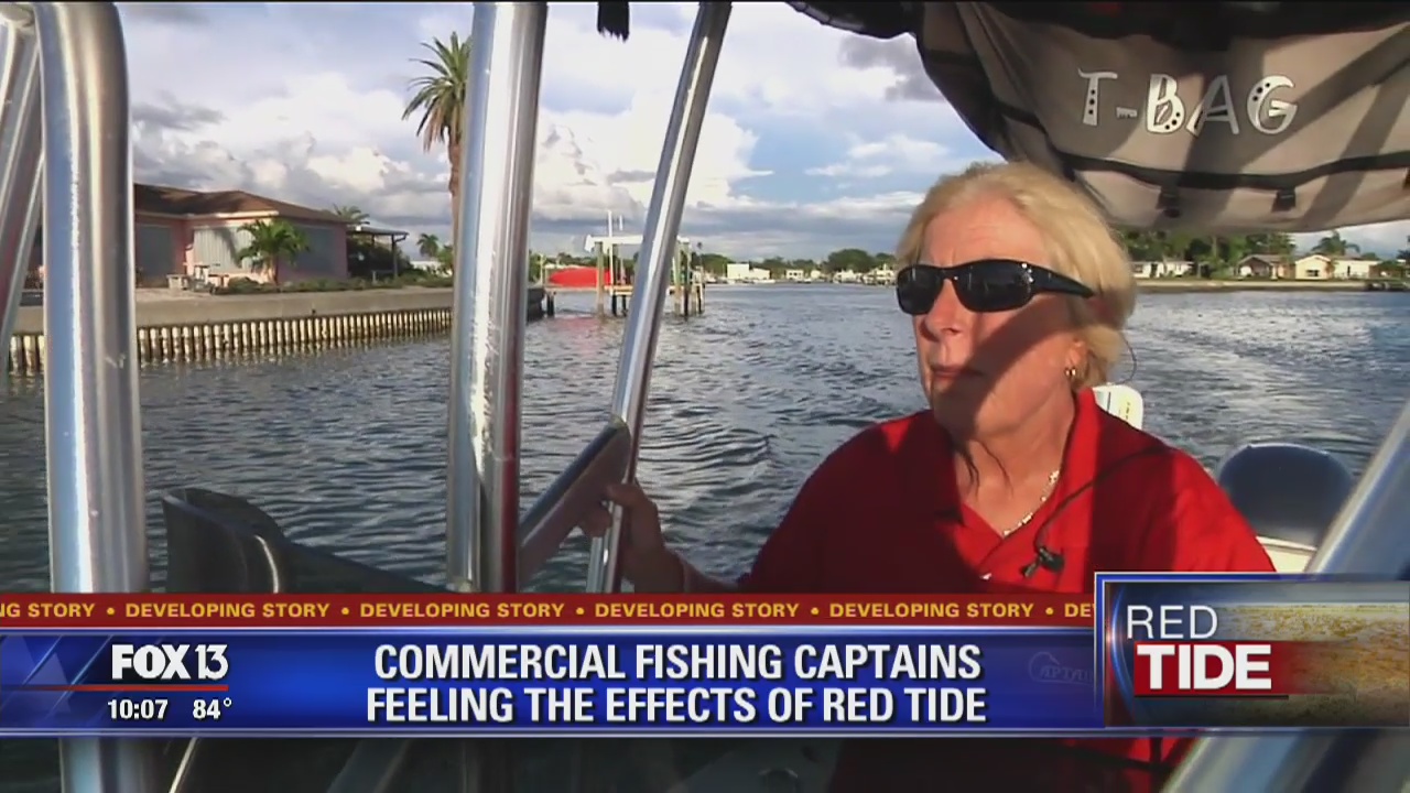 Pinellas Red Tide Fishing Businesses | FOX 13 Tampa Bay