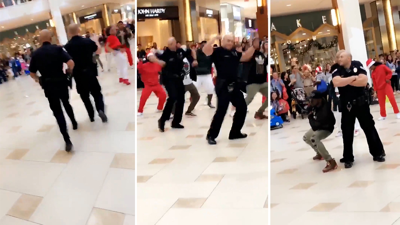 Florida officers join flash mob | FOX 13 Tampa Bay