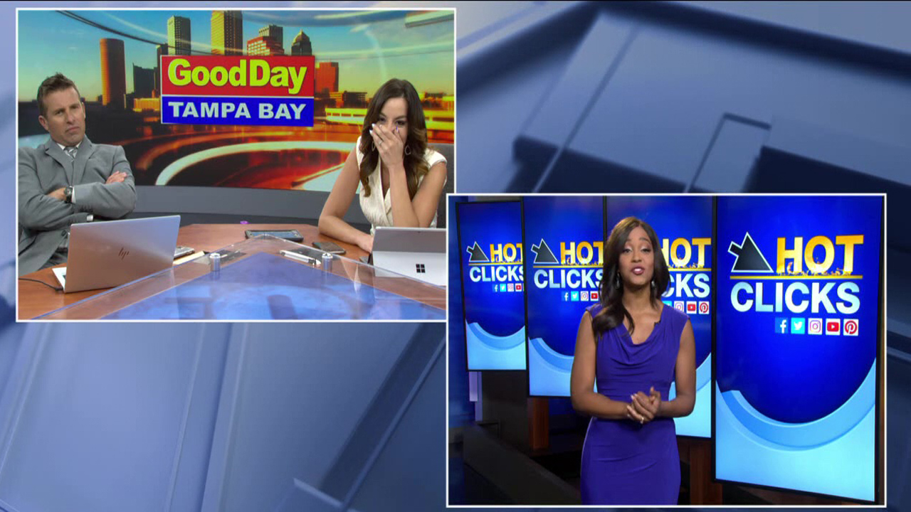 Good Day Goodies: April 29, 2022 | FOX 13 Tampa Bay