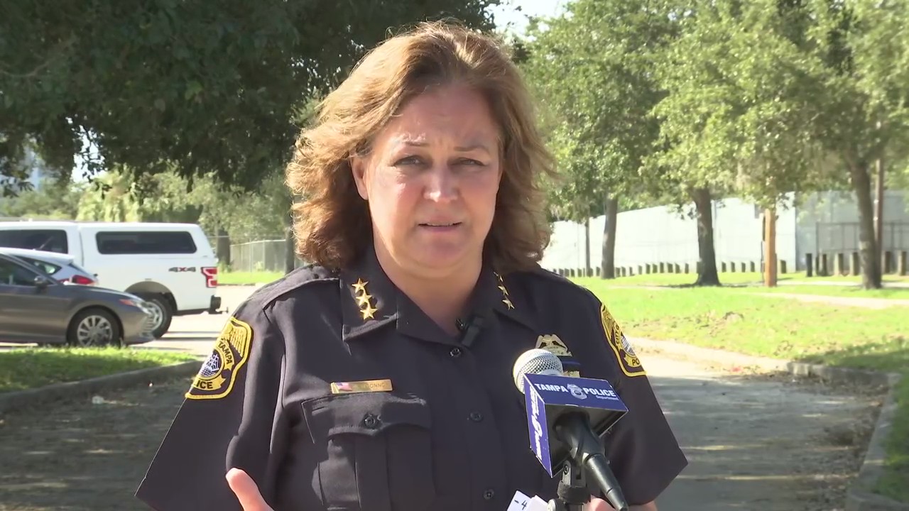 Tampa police chief on search for shooting suspect who opened fire on ...