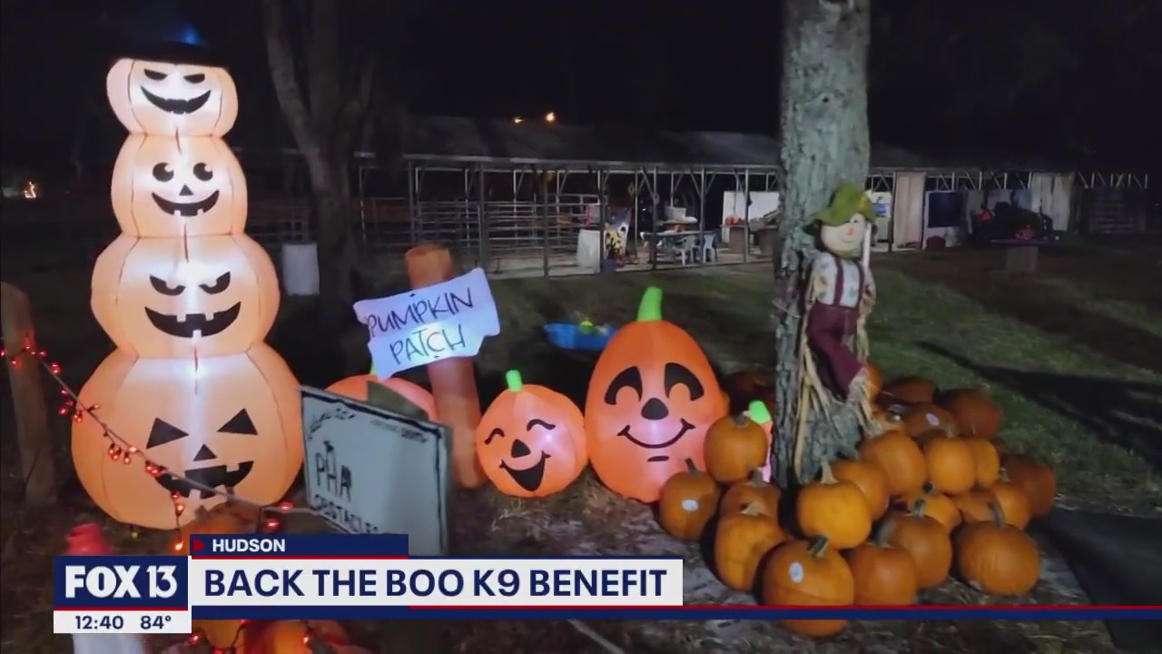 PHA?s 6th Annual Back the Boo K9 Benefit this weekend | FOX 13 Tampa Bay