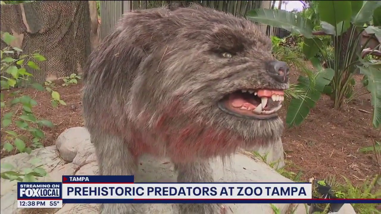 Prehistoric Predators at ZooTampa | FOX 13 Tampa Bay