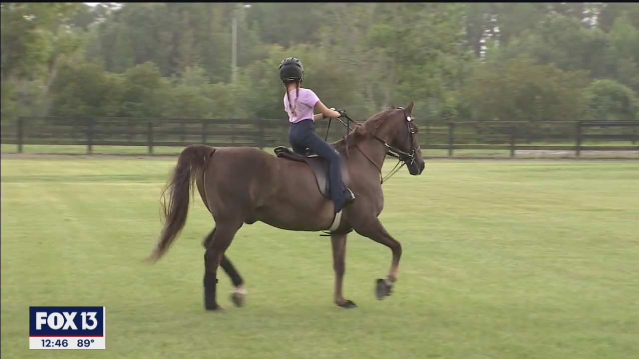 Summer camps available at Avalon Stables | FOX 13 Tampa Bay
