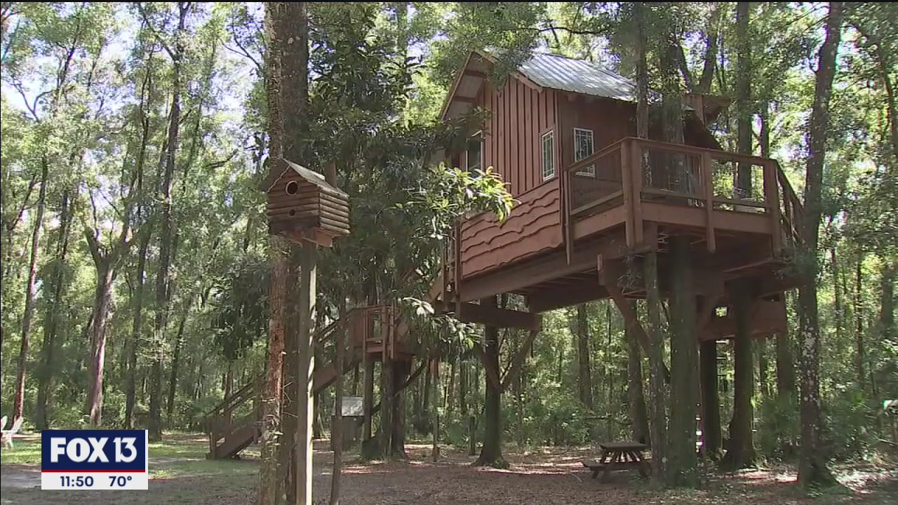 Rent your very own treehouse | FOX 13 Tampa Bay
