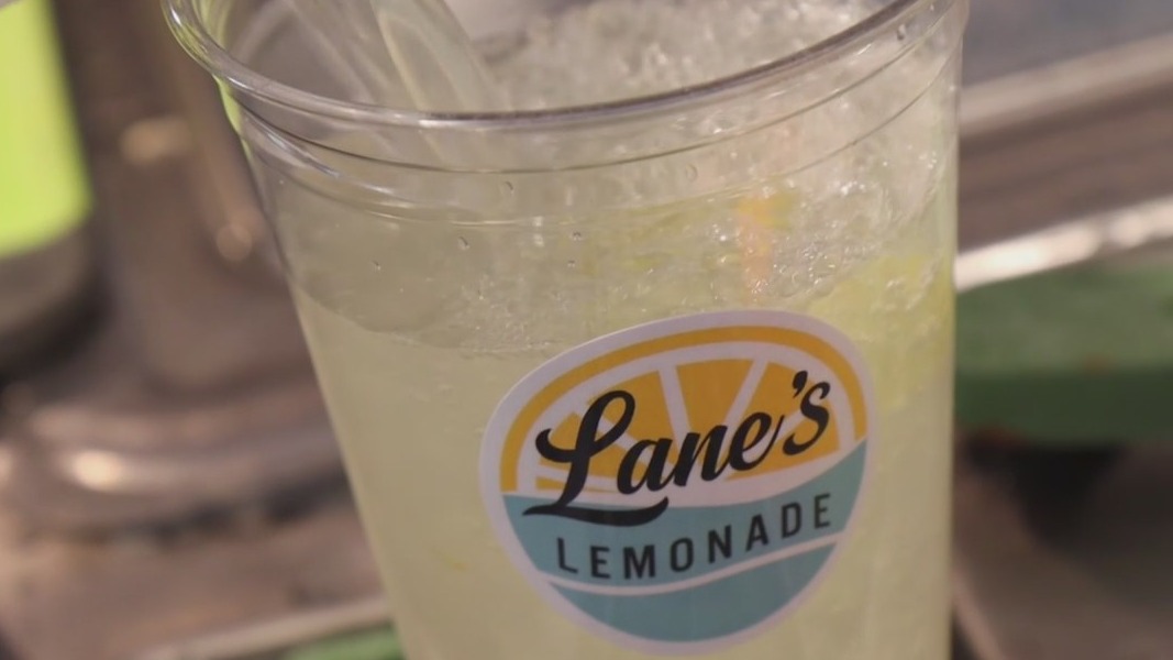 Made in Tampa Bay: Lane's Lemonade | FOX 13 Tampa Bay