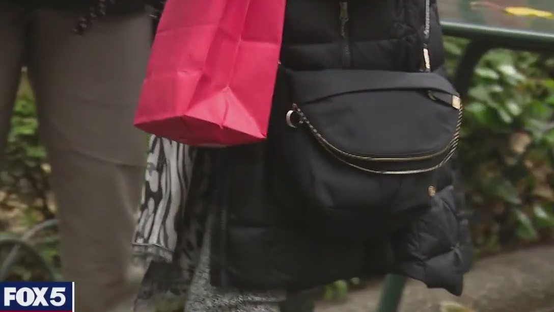Pickpockets in Bryant Park | FOX 5 New York