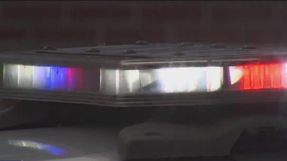 Child ID kits can help find missing children | FOX 13 Tampa Bay