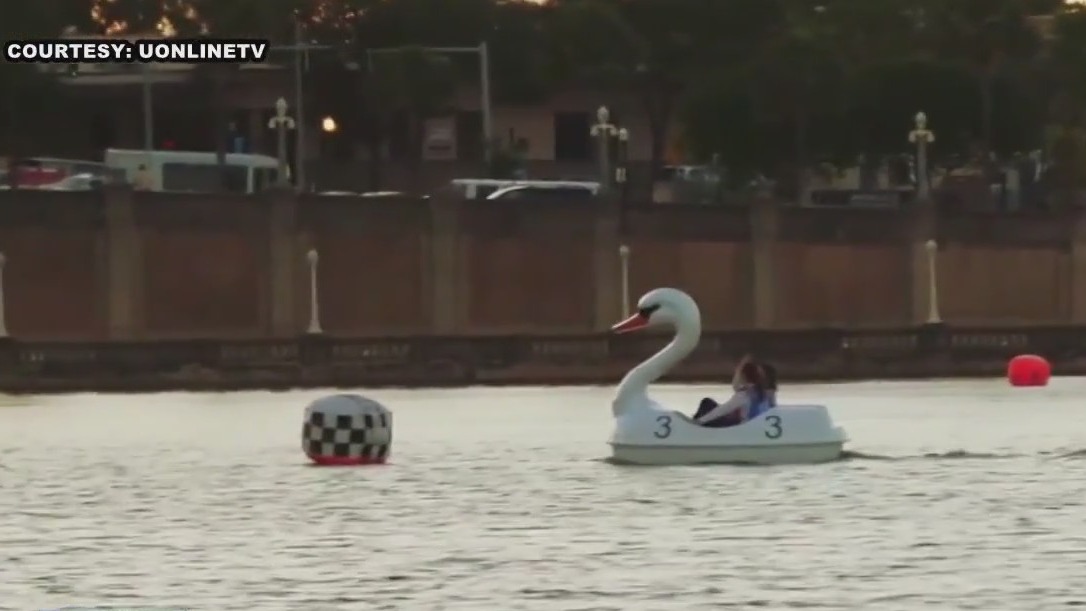 Swan derby benefits Lakeland volunteers in medicine | FOX 13 Tampa Bay