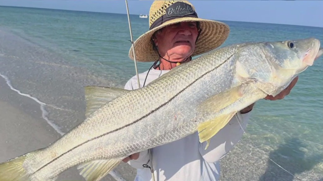Good Catch Fishing Report: May 19, 2023 | FOX 13 Tampa Bay