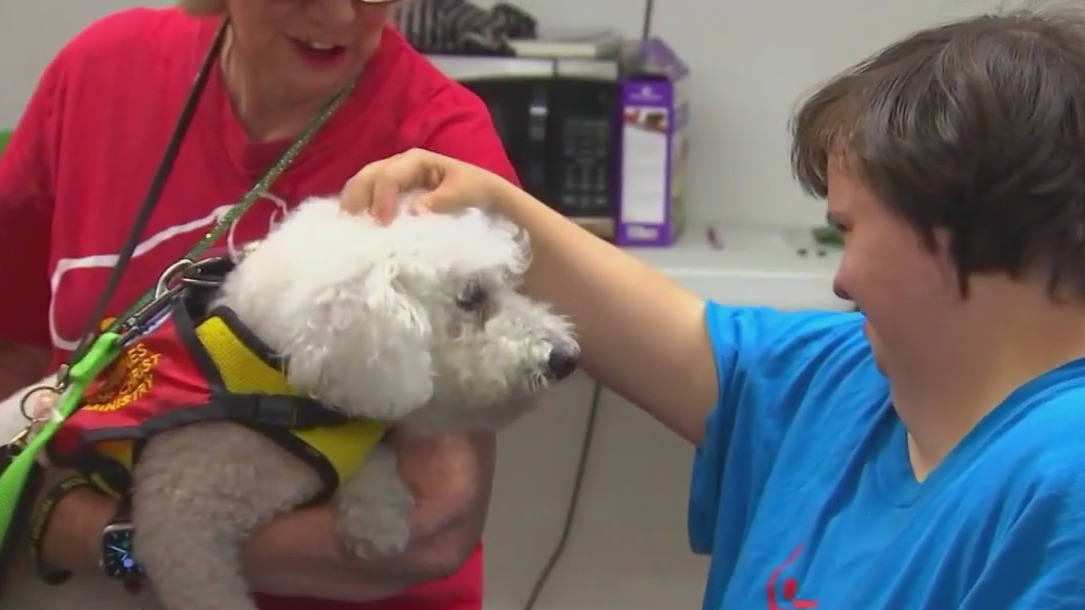 Canines 4 Christ serves community | FOX 13 Tampa Bay