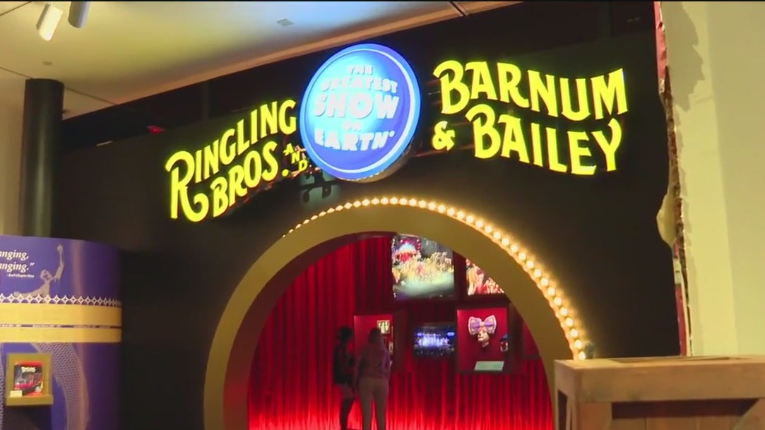 Ringling Museum unveils new immersive exhibit | FOX 13 Tampa Bay