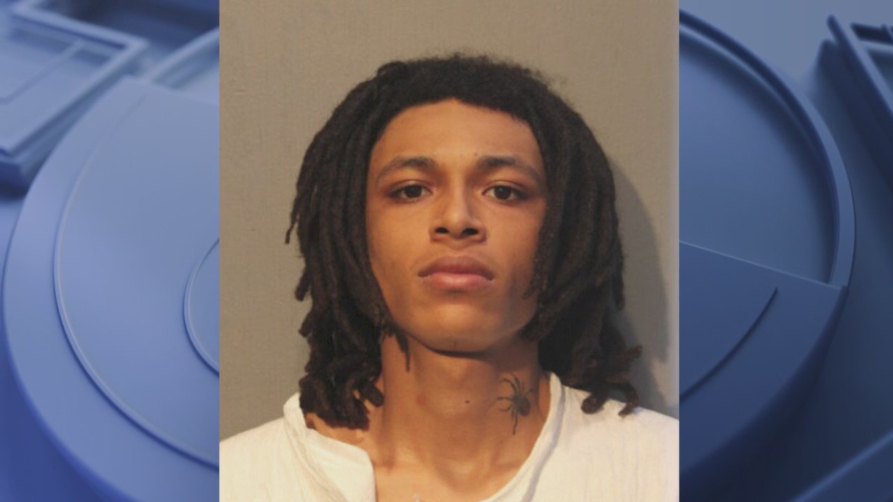 Man charged in murder of Chicago cop Ella French enters plea | FOX 32 ...