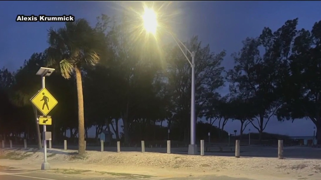 FDOT changes lighting after sea turtle?s death | FOX 13 Tampa Bay
