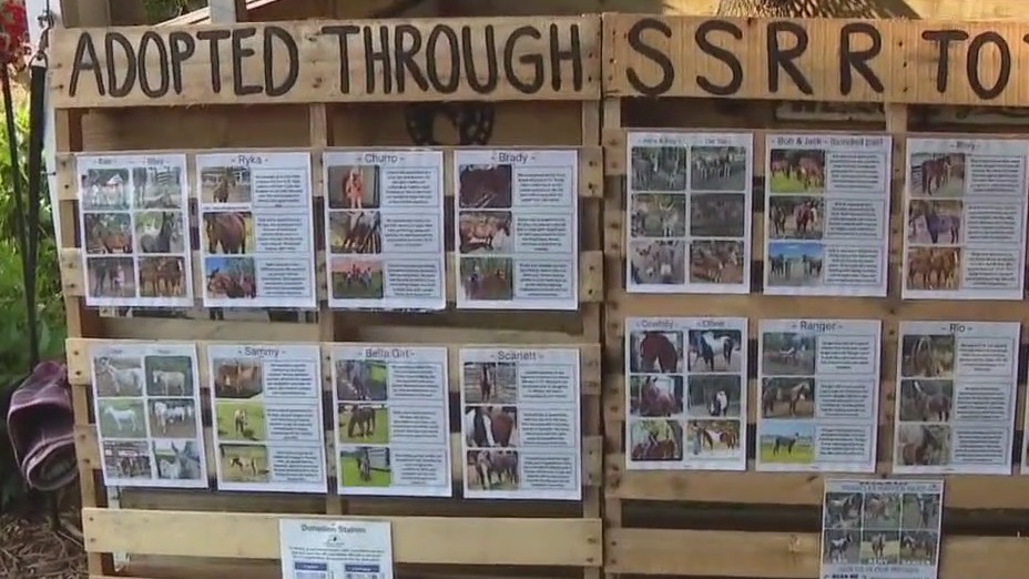 Charley's World | Stricker Sunshine Rescue Ranch | FOX 13 Tampa Bay