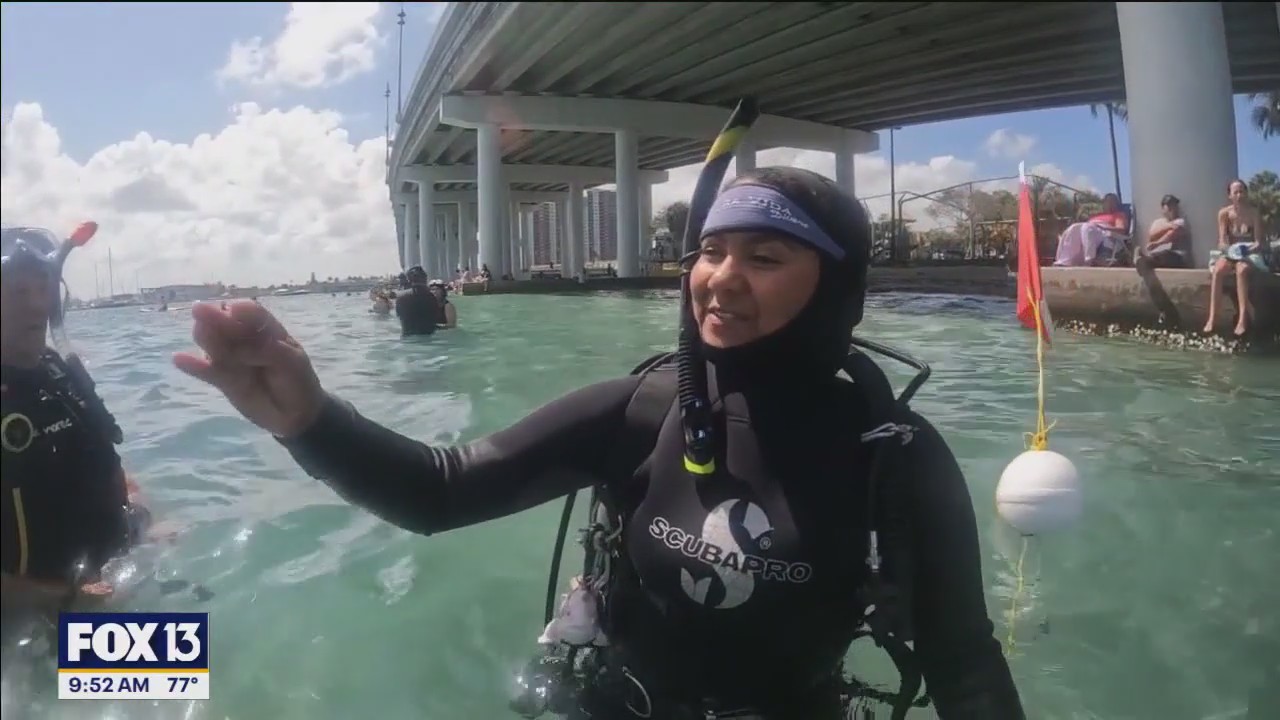 Guided dive site under Blue Heron Bridge | FOX 13 Tampa Bay