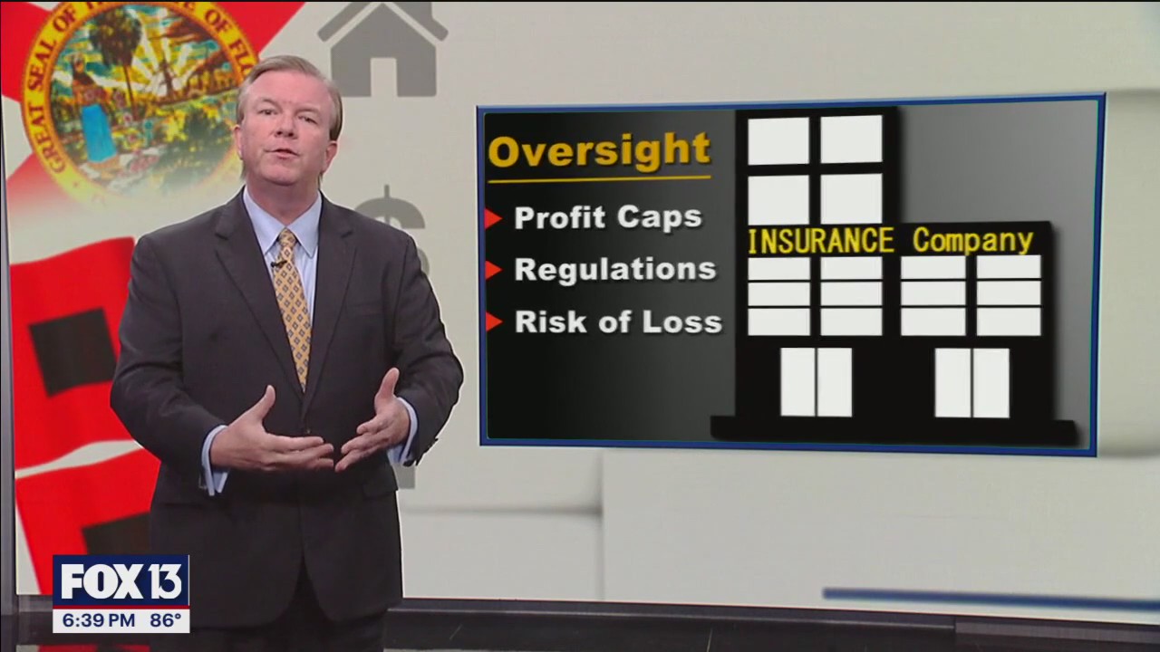 Insurance company financial dealings | FOX 13 Tampa Bay