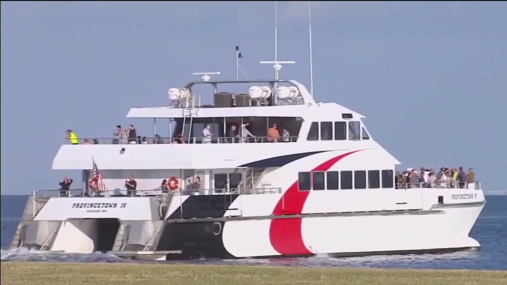 New effort to bring back Cross Bay Ferry | FOX 13 Tampa Bay