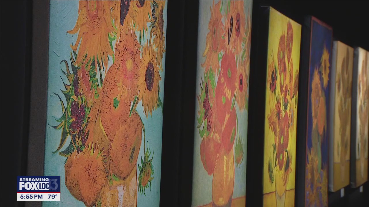 Vincent van Gogh: The Immersive Exhibit | FOX 13 Tampa Bay