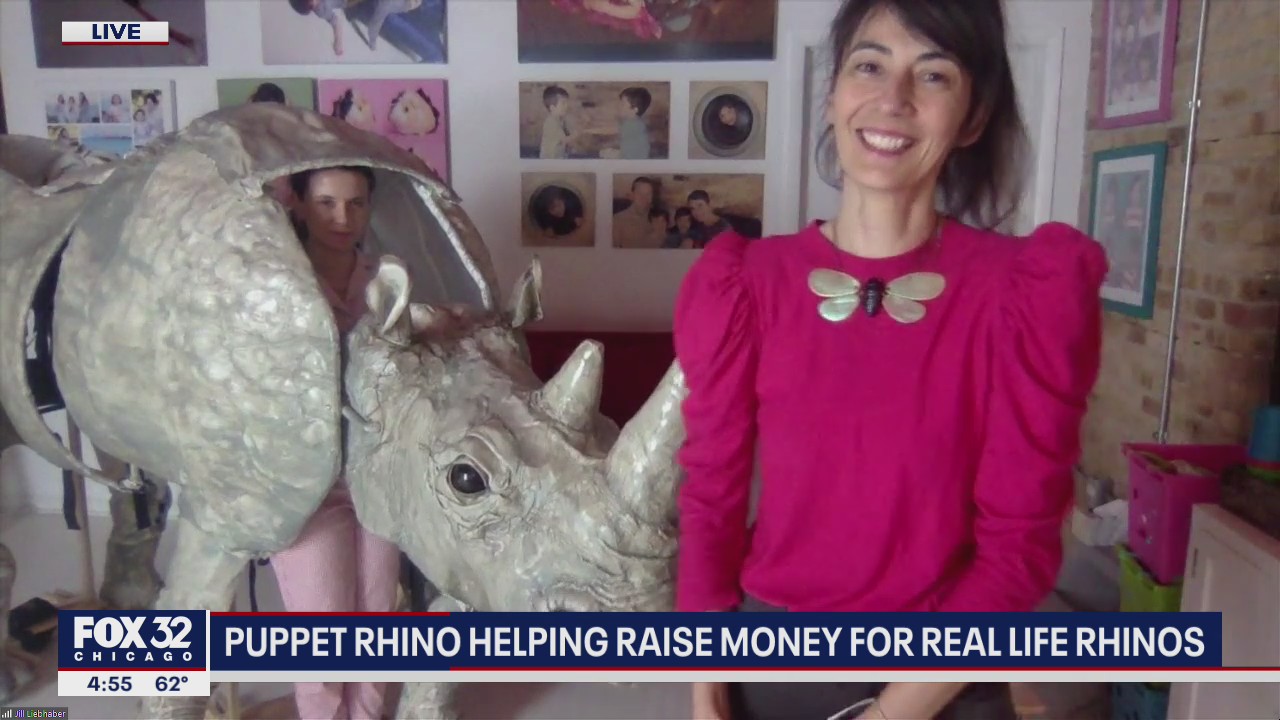 Puppet rhino helping raise money for real life rhinos | FOX 32 Chicago