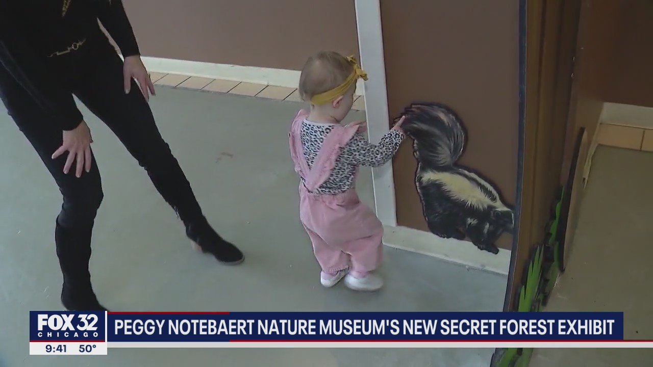 Peggy Notebaert Nature Museum opens new exhibit for kids | FOX 32 Chicago