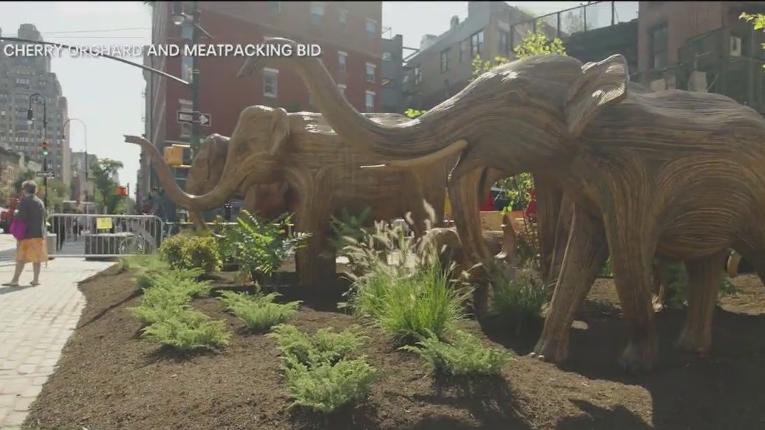The Great Elephant Migration | FOX 5 New York
