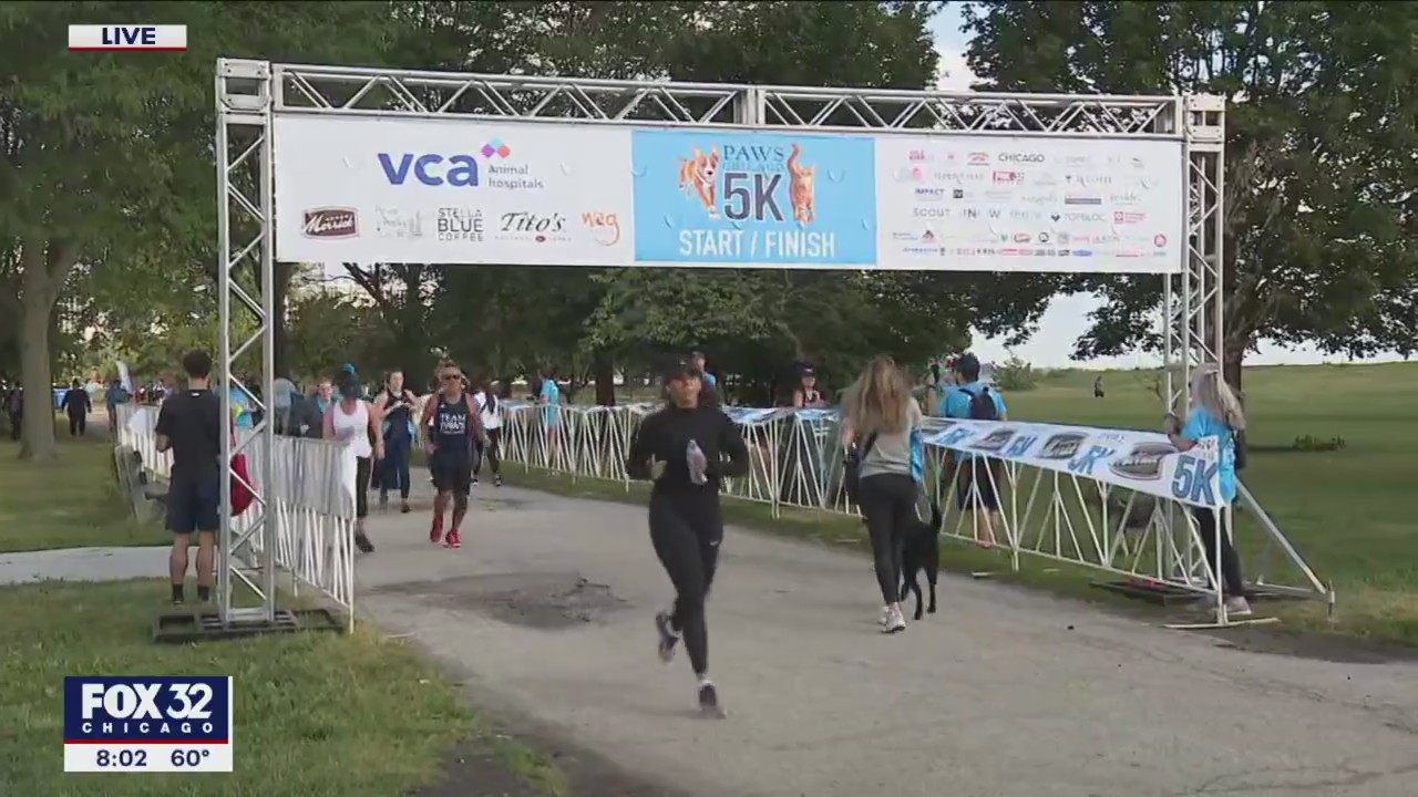 Annual PAWS Chicago 5K kicks off at Montrose Harbor | FOX 32 Chicago