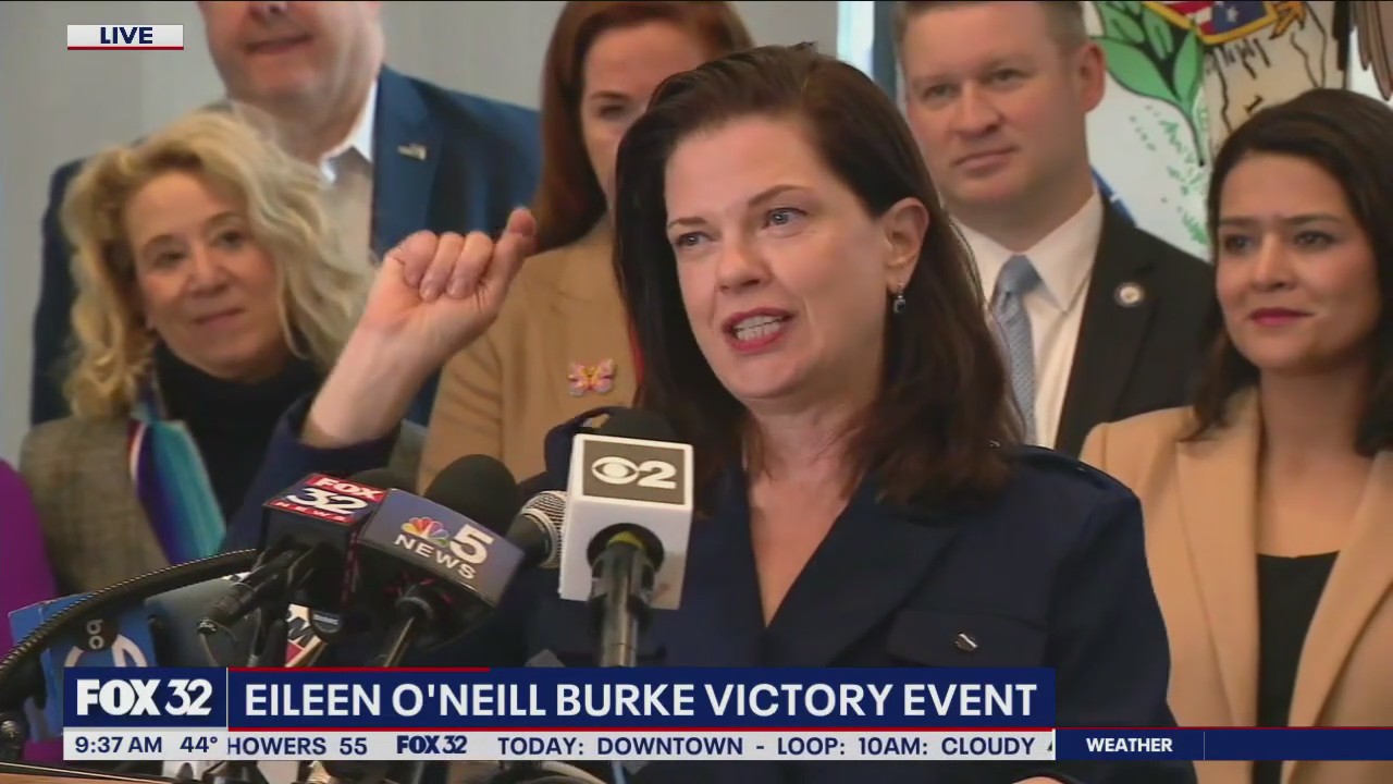 Eileen O'Neill Burke celebrates Cook County State's Attorney nomination ...