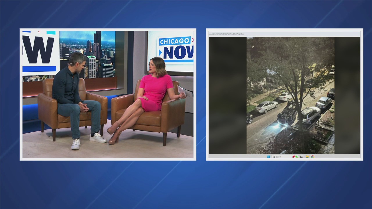 Chicago Reddit chatter: Dibs, birds & Etch A Sketch | ChicagoNOW | FOX ...