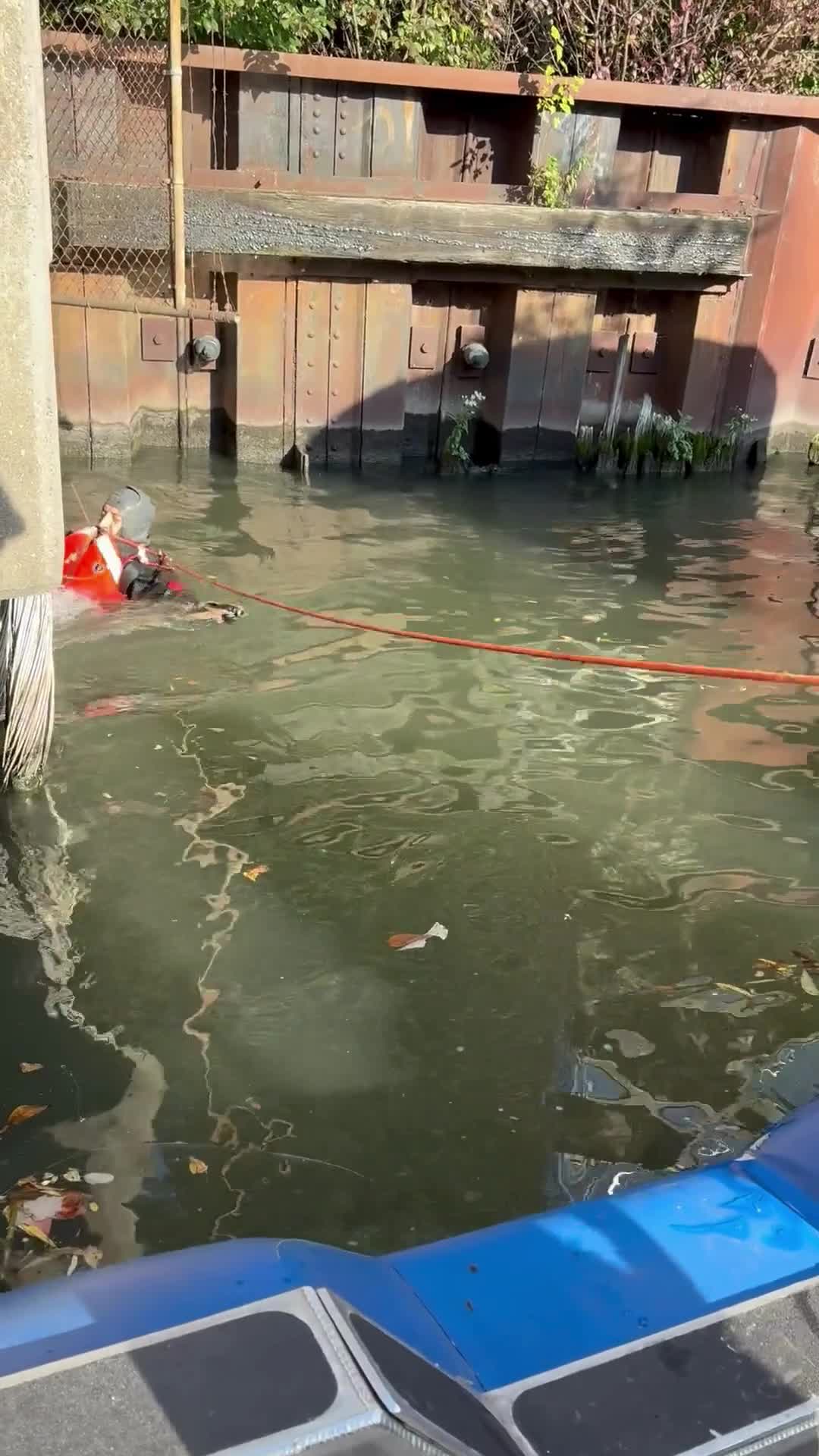 Chicago police rescue dog stranded in Chicago River drainpipe | FOX 32 ...