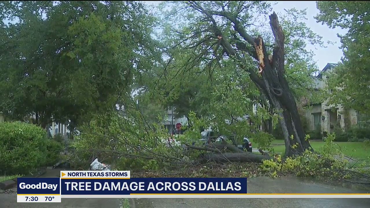 Strong storms leave trail of damage in Dallas, across North Texas | FOX ...