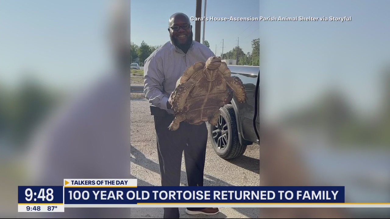 Talkers: Beyonc?'s dress code, escaped tortoise & more | FOX 4 Dallas ...