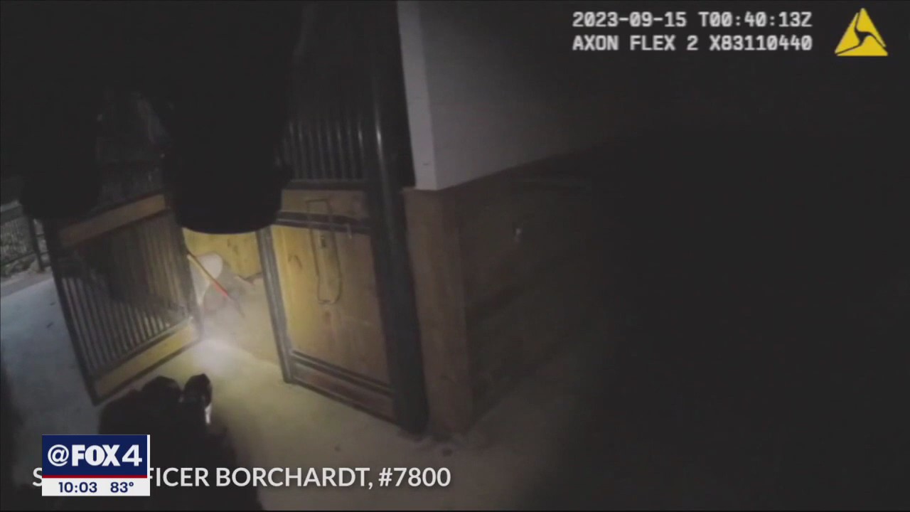 VIDEO: SWAT team finds murder suspect who shot cop | FOX 4 Dallas-Fort ...