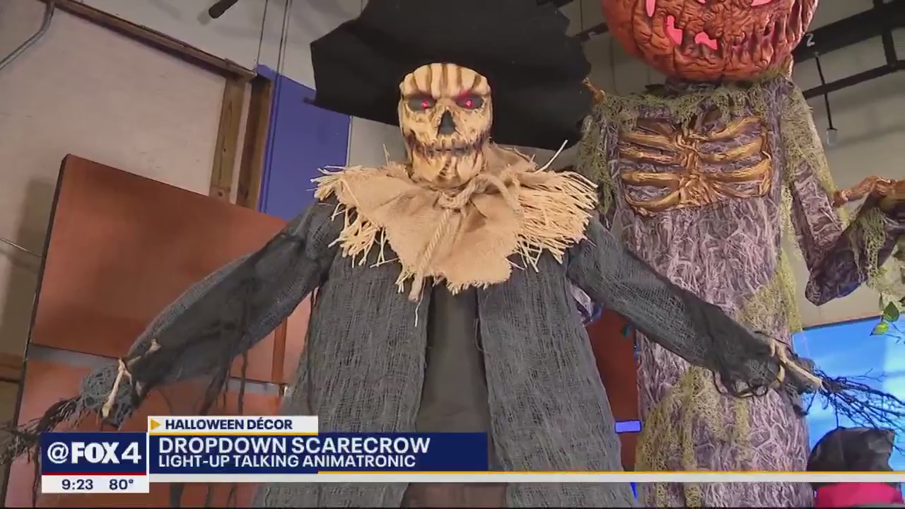 Save Me Steve: Halloween d?cor on a budget | FOX 4 Dallas-Fort Worth