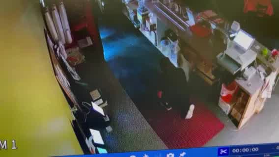 Surveillance video captures suspect burglarizing Fuzzy's Bellaire ...