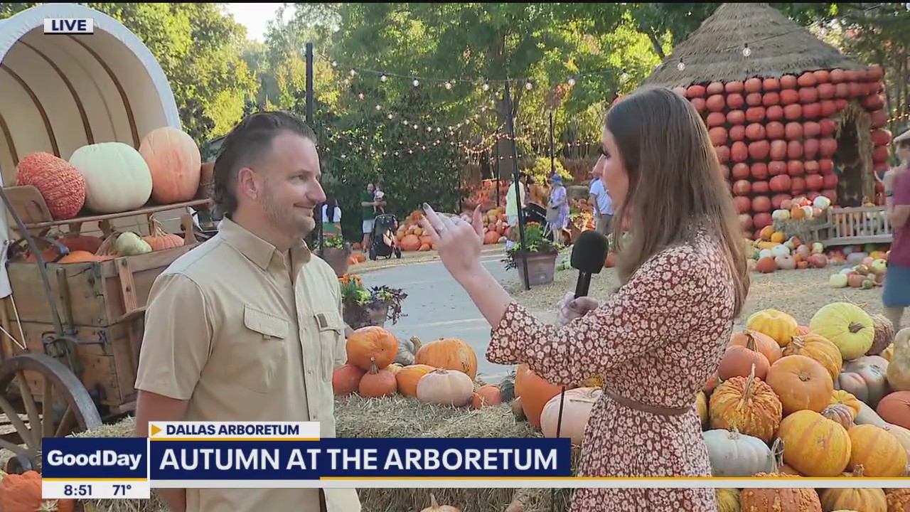 Good Day's Kylie Capps previews Autumn at the Dallas Arboretum | FOX 4 ...