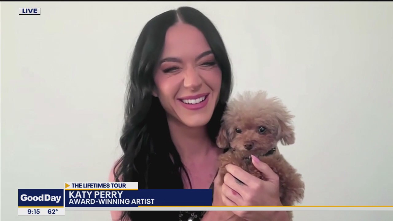 Katy Perry joins Good Day ahead of Lifetimes Tour | FOX 4 Dallas-Fort Worth