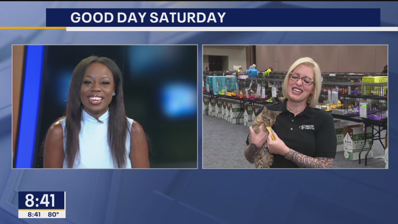 Humane society of north texas hosts mega adoption event this weekend ...
