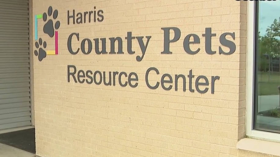 Long-time volunteers say Harris County Animal Shelter Interim Director ...