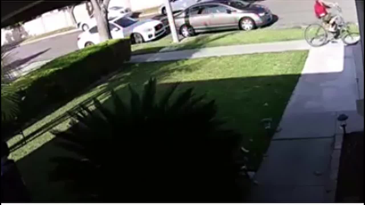 Porch Bandits | FOX 11 Los Angeles