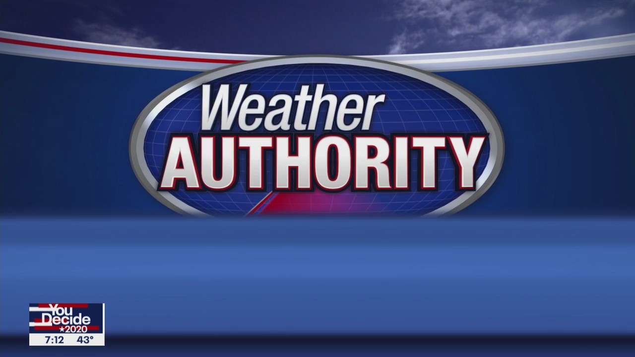 Meet Punkin & Diesel | FOX 2 Detroit