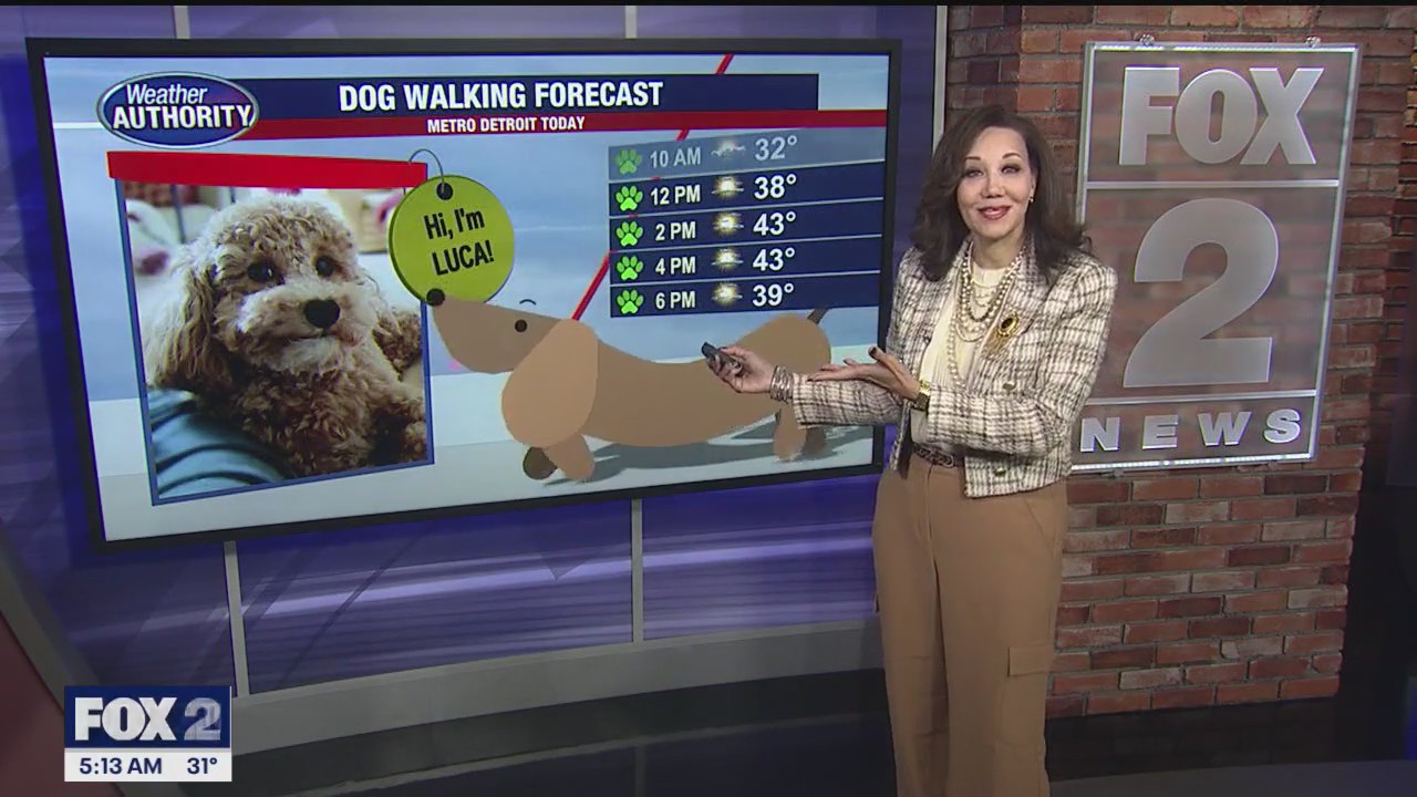 Above Seasonal Monday | FOX 2 Detroit