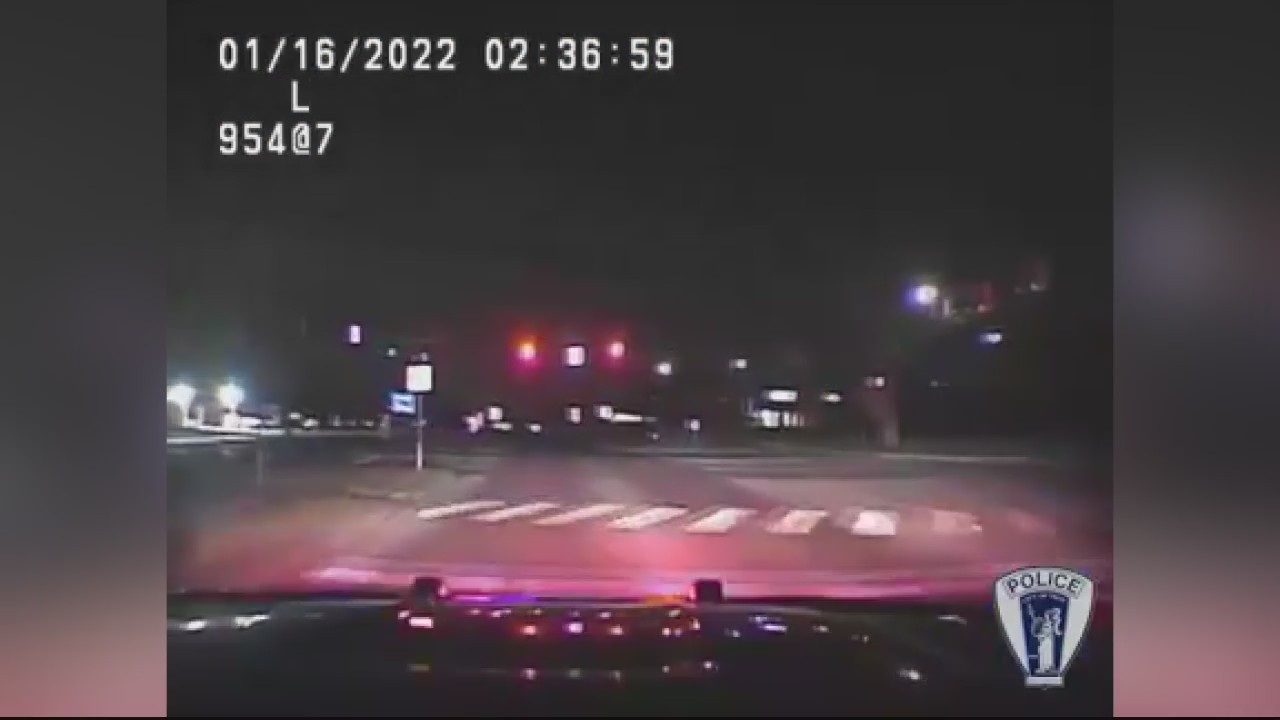 VIDEO: Police stop suspected drunk driver on Stephenson Highway | FOX 2 ...